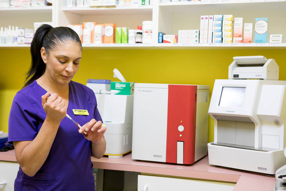Safe Blood Testing for Your Pet - Sutherland Vet Clinic